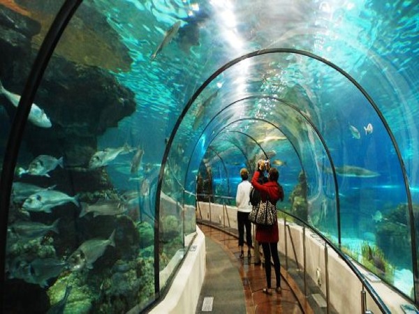 Aquarium Sea Life en Benalmádena, Málaga